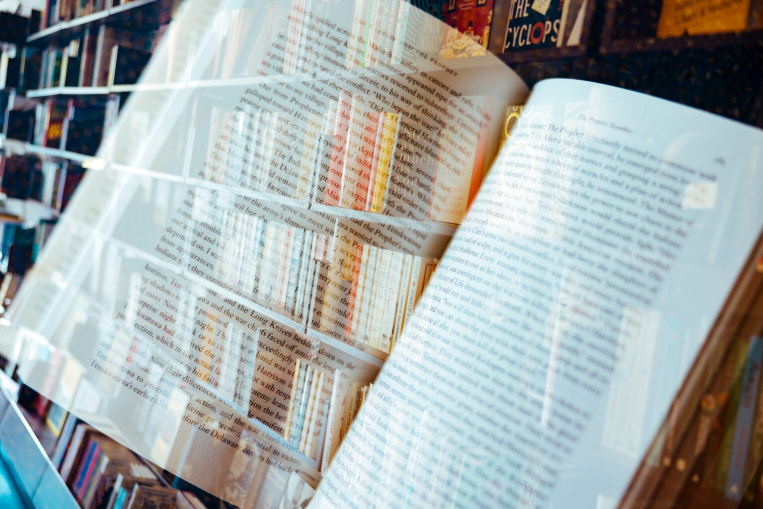 Buy a Book – Red Lion Books